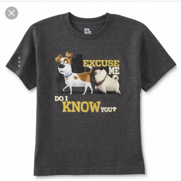 Disney | Shirts & Tops | Secret Life Of Pets Kids Tshirt | Poshmark